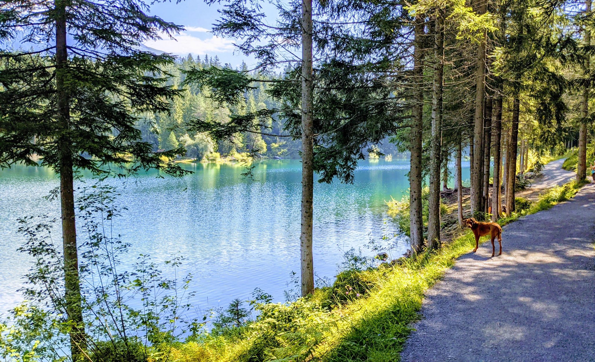 Caumasee – the most beautiful mountain lake in Switzerland ...